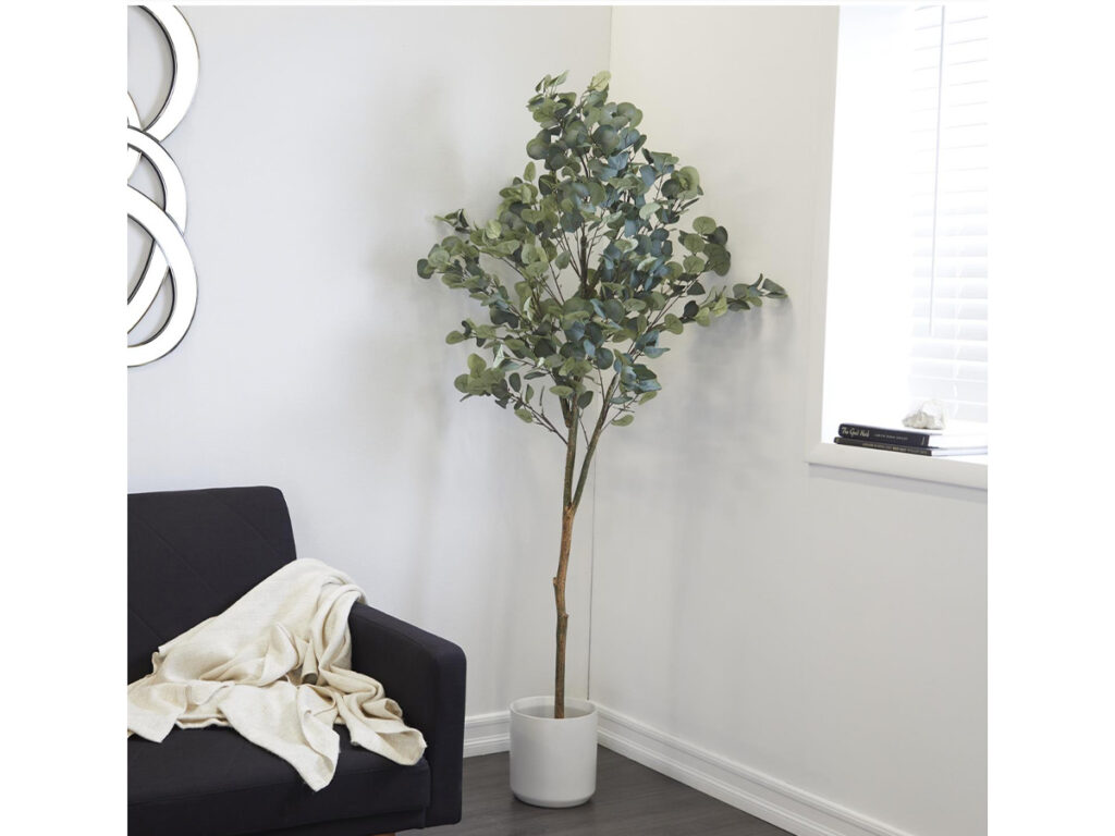 Eucalyptus Tree 30365 de Tela | Dkassa Monterrey